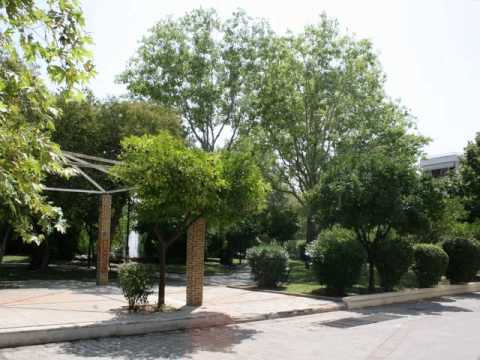ΗΜΕΡΙΔΑ ΓΙΑ ΤΟ ΑΣΤΙΚΟ ΠΡΑΣΙΝΟ.wmv - YouTube