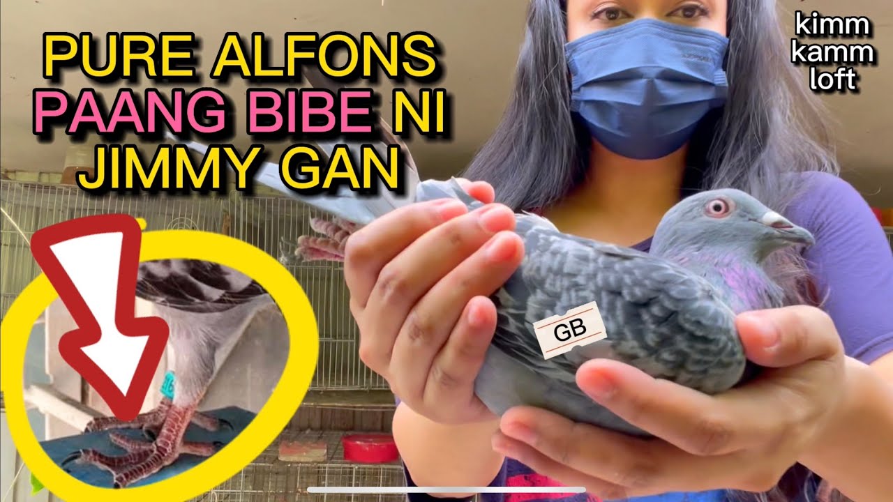 LAHI NG IBON NI JIMMY GAN, NASA KIMM KAMM LOFT NA! UNBOXING ITO NG MGA ...