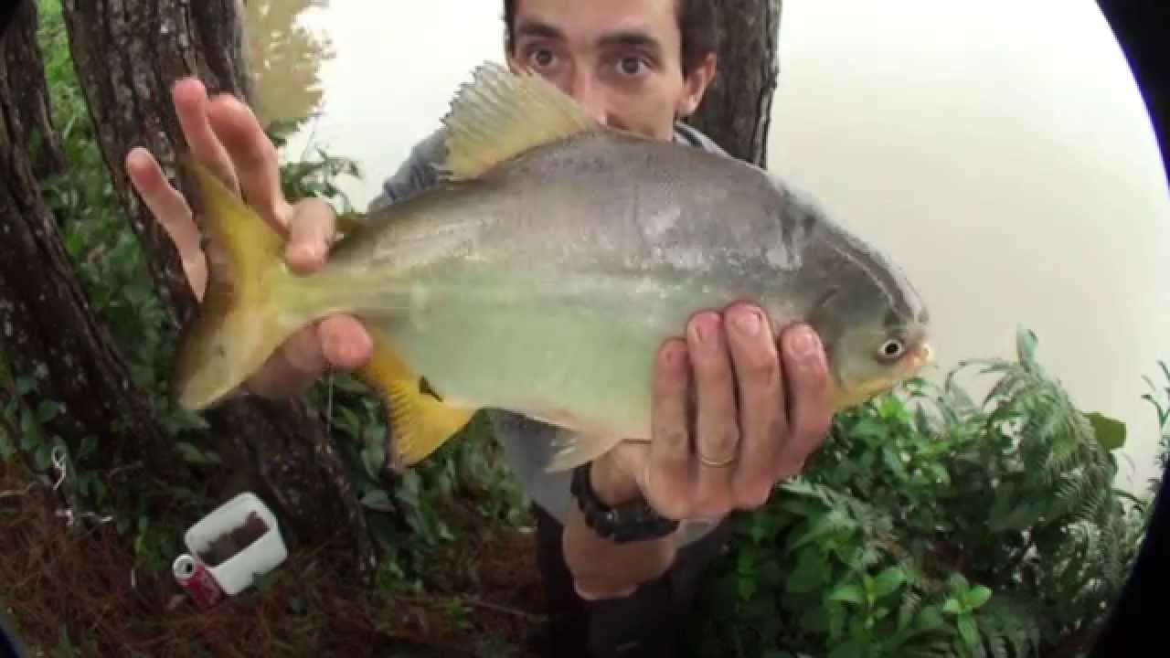 ULTRALIGHT - DICAS - Pescaria Ultralight de Patingas Amental Fishing ...