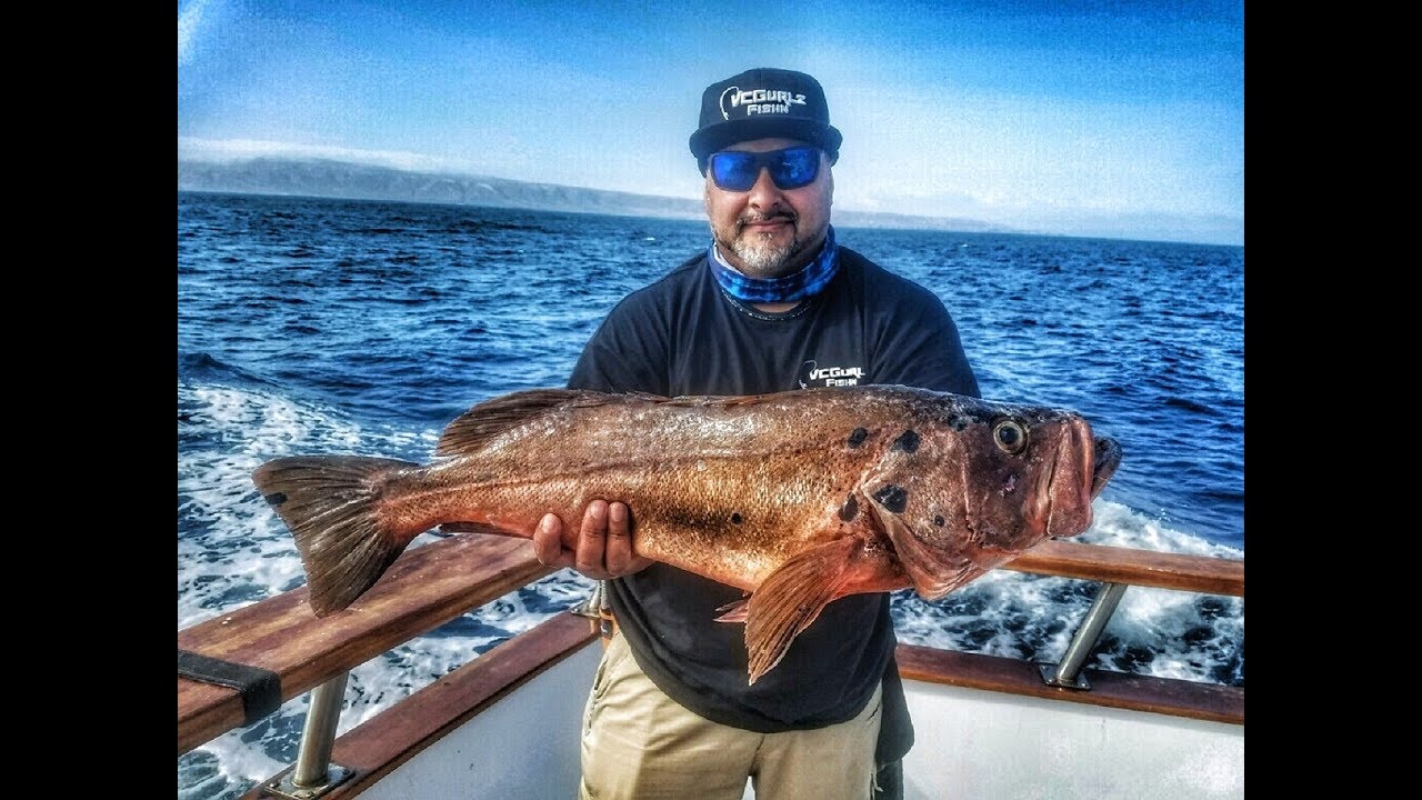 ROCK COD FISHING 7/12,13/17 - YouTube