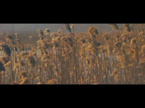 Enjoy the melodies of nature 60min 4K video Gölyazı Bursa Turkey