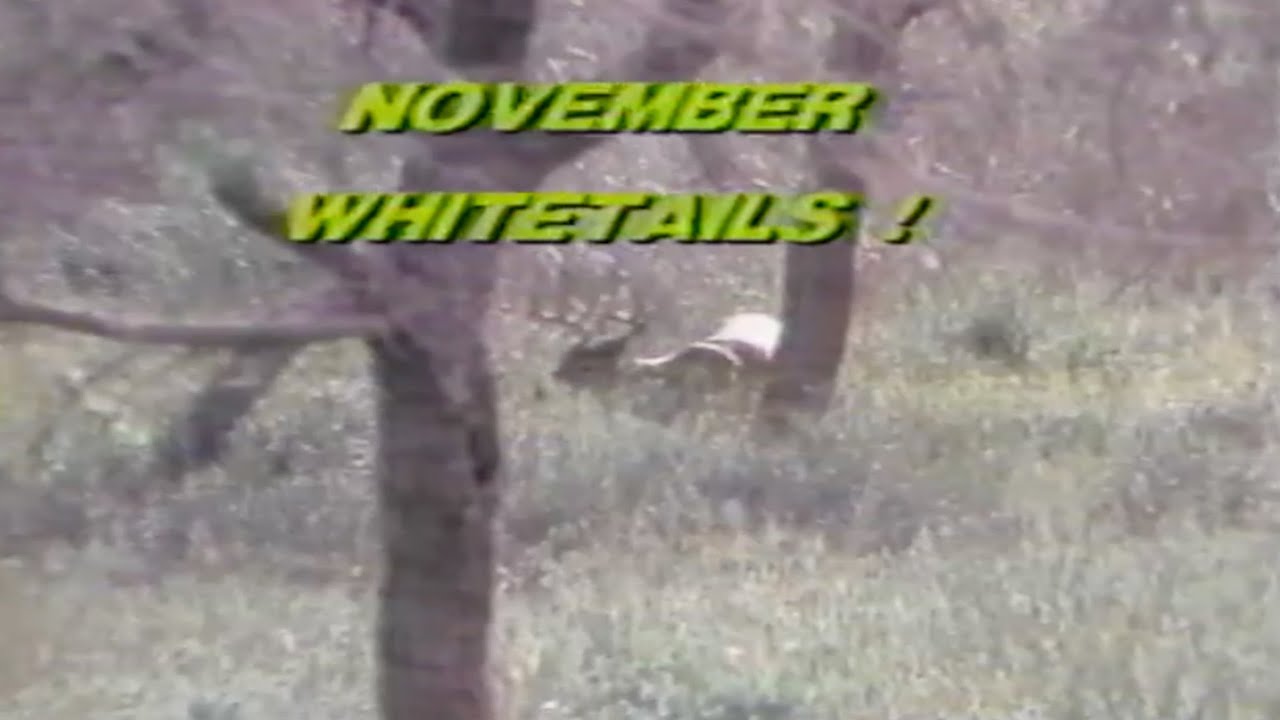 HUNTING NOVEMBER WHITETAILS (1988) — Woods N' Water Productions [VHS ...