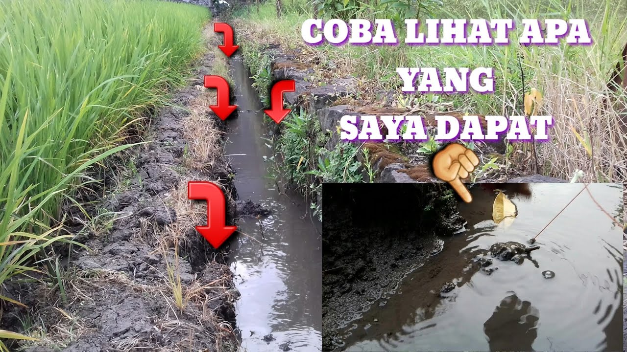 JANGAN PERNAH REMEHKAN SPOT PARIT SEPERTI INI..!! - YouTube