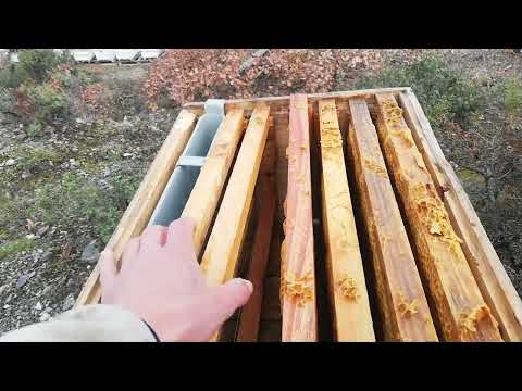 Erken ilkbaharda en güzel besleme yöntemi