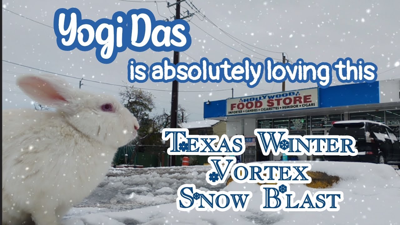 ️ Houston, Texas WINTER VORTEX SNOW BLAST!!! - YouTube