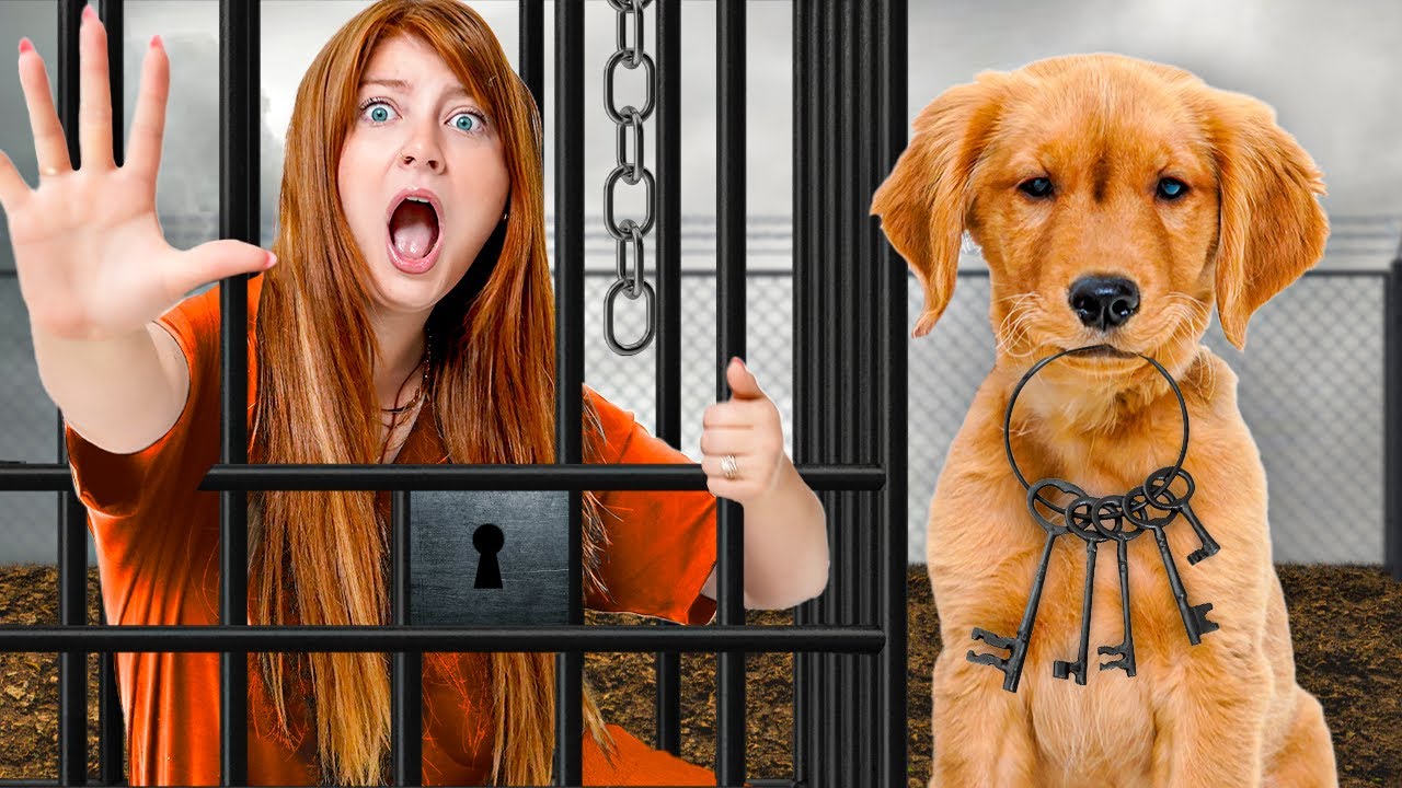 I Let My NEW Puppy Control My Life!🐶 - YouTube