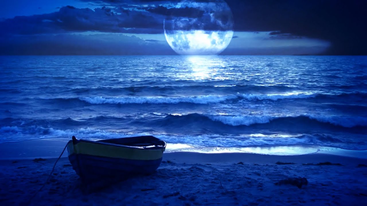 Ocean Sounds And Forest Nature Sound Meditation Sleep | Ocean Sounds ...