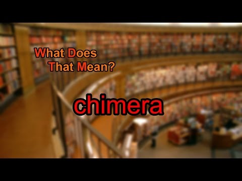 What does chimera mean?