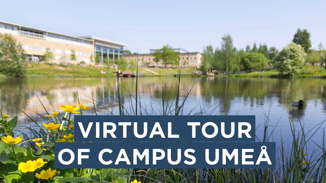 Take a virtual tour of Campus Umeå - YouTube