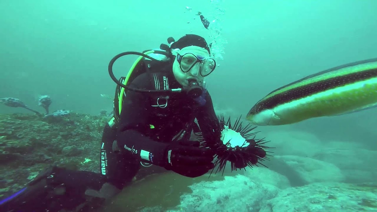 Magic Point & The Gap Dive in Sydney - YouTube