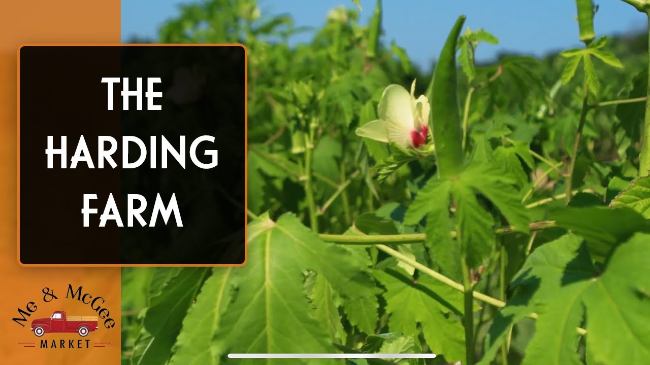 Discover the Ultimate Kitchen Garden | The Harding Farm Tour (Farm-to ...