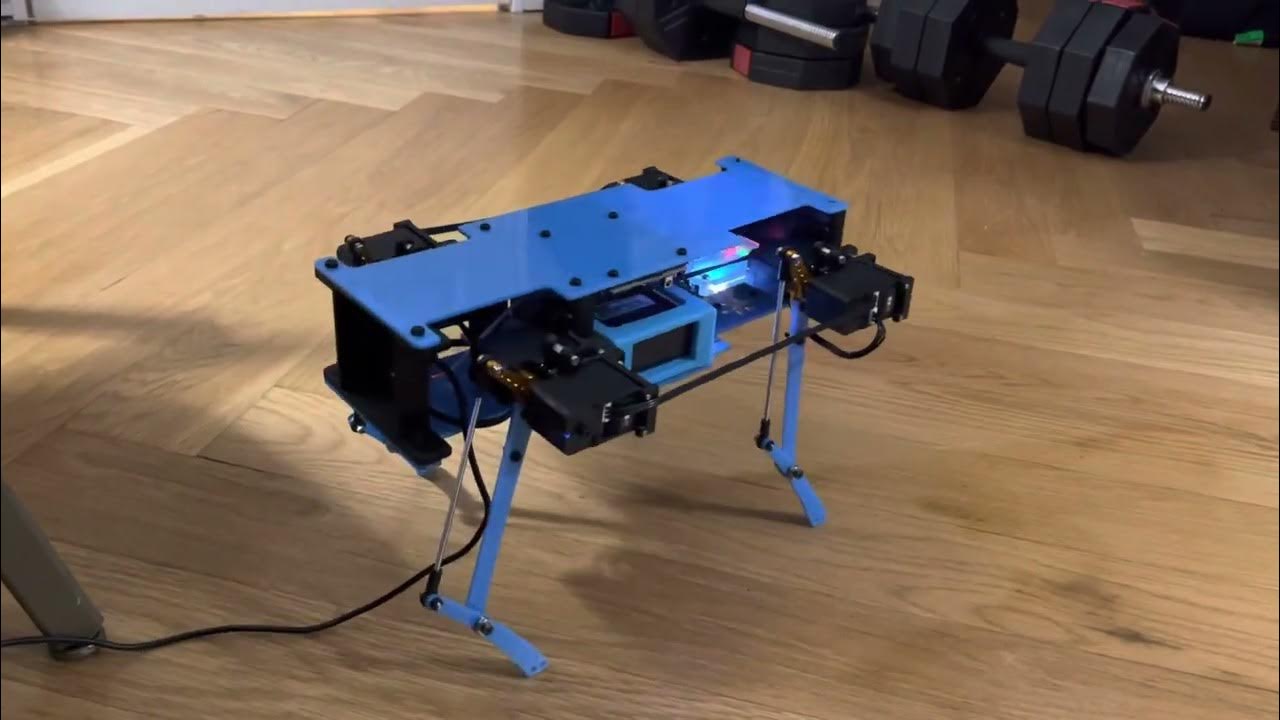 Quad Robot Baby Steps - YouTube