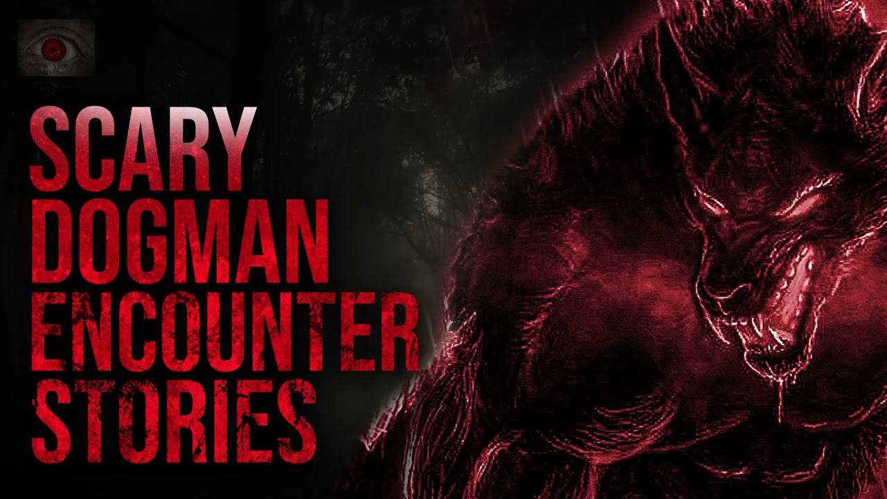 Top 10 Scary Dogman Sightings - Horror Stories Of Dogmen - YouTube