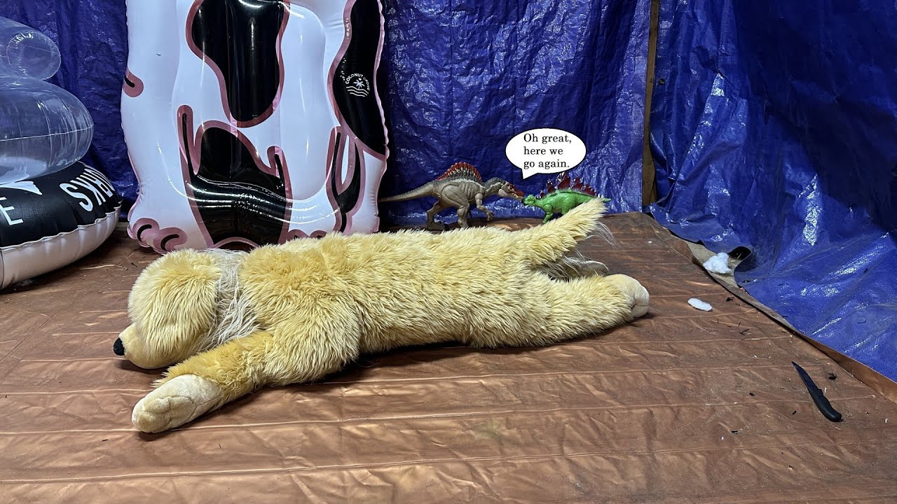 Destroy Large Stuffed Golden Retriever Plush Toy - YouTube