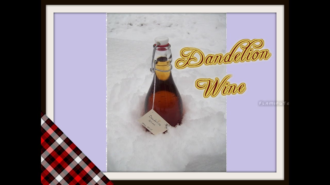 Dandelion Wine Making - YouTube
