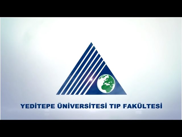 Yeditepe Logo YEDITEPE EAGLES – Zeki Michael Design