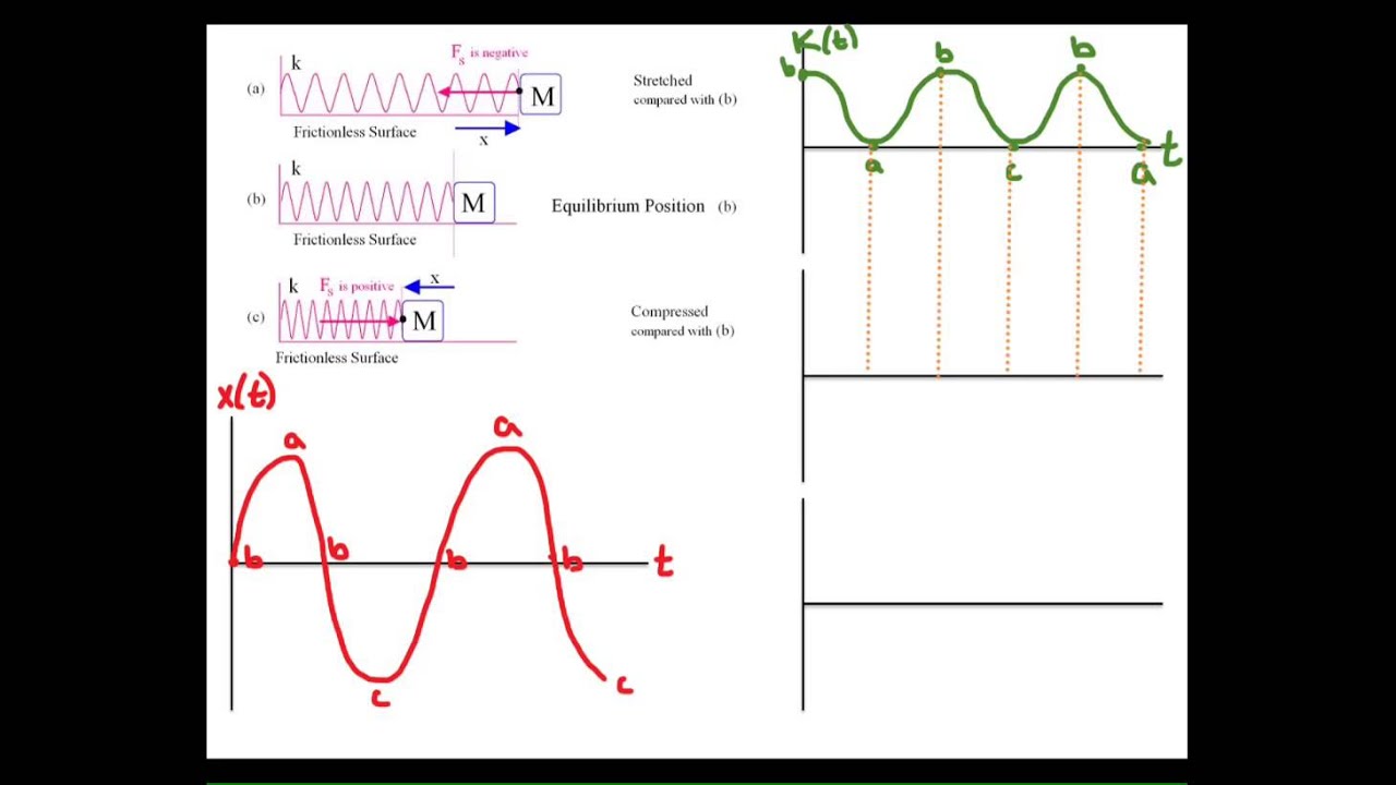 Lecture - Spring Potential Energy & SHM - YouTube