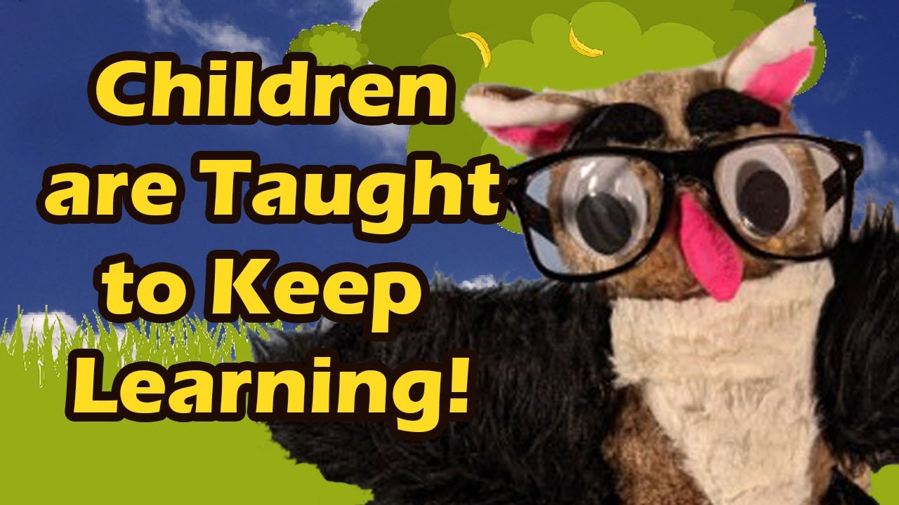 Puppets Teach Children to Keep Learning E763 - YouTube