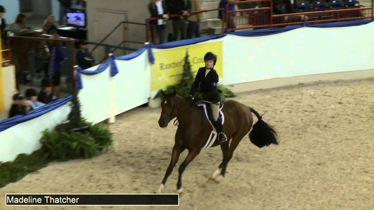 663 STUCK ON YOU Madeline Thatcher, Small Junior Hunter 16 17 - YouTube