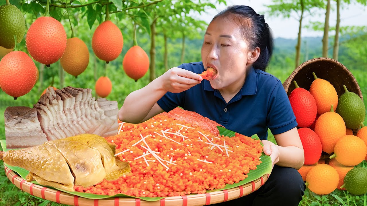 Harvest giant gac fruit, bamboo shoots, how to cook gac rice, catching ...