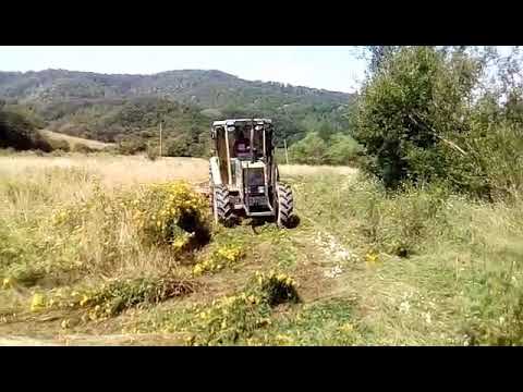 Hurlimann 356