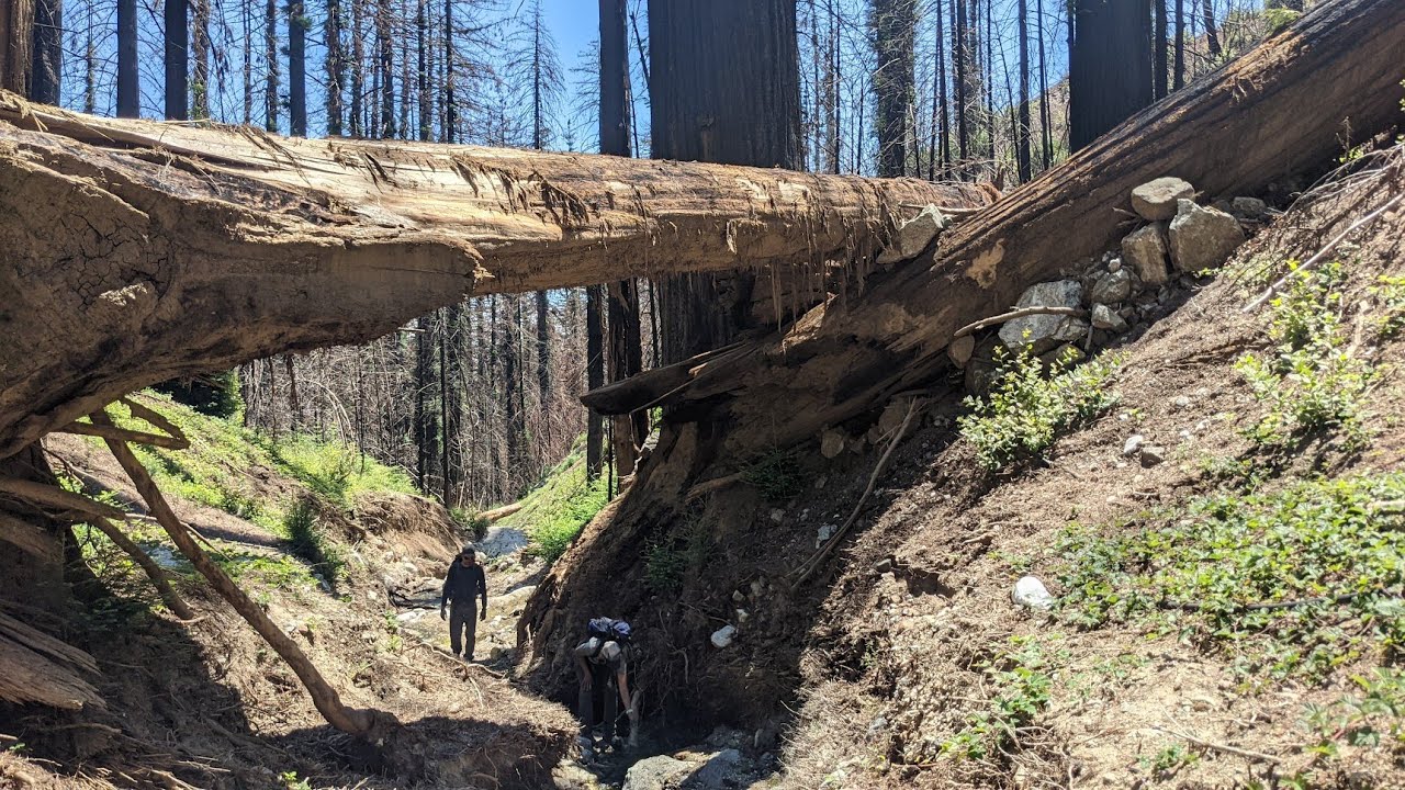 Post-fire debris flows in relation to observed rainfall anomalies ...