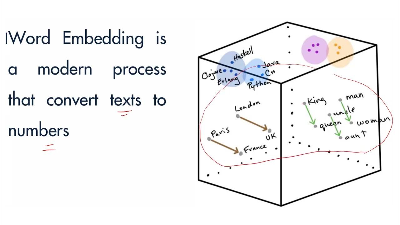 Word Embedding | Word2vec (CBOW vs. Skip-gram) | NLP - YouTube