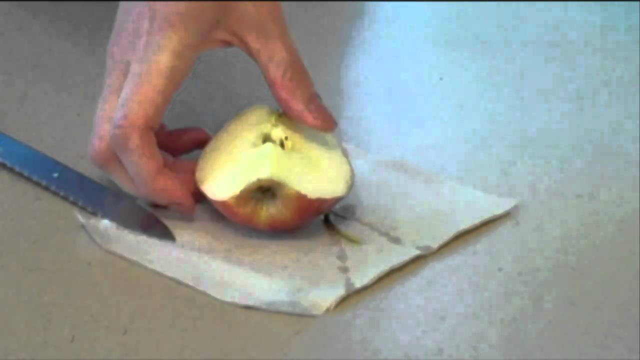 Comparing Apples and...Earth? - YouTube