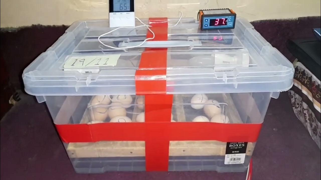 diy incubator | simple and easy homemade incubator | with plastic store ...