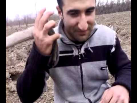 SABIRABAD BULDUQ ELVIN  MUGAM  2012 .mp4