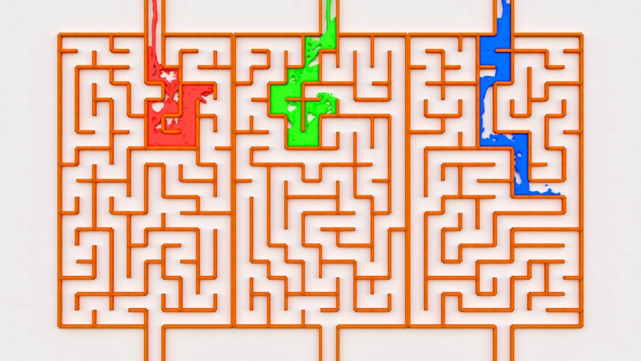 Fluid Maze Race! Which Color Will Finish the Maze First? 🤔 - YouTube