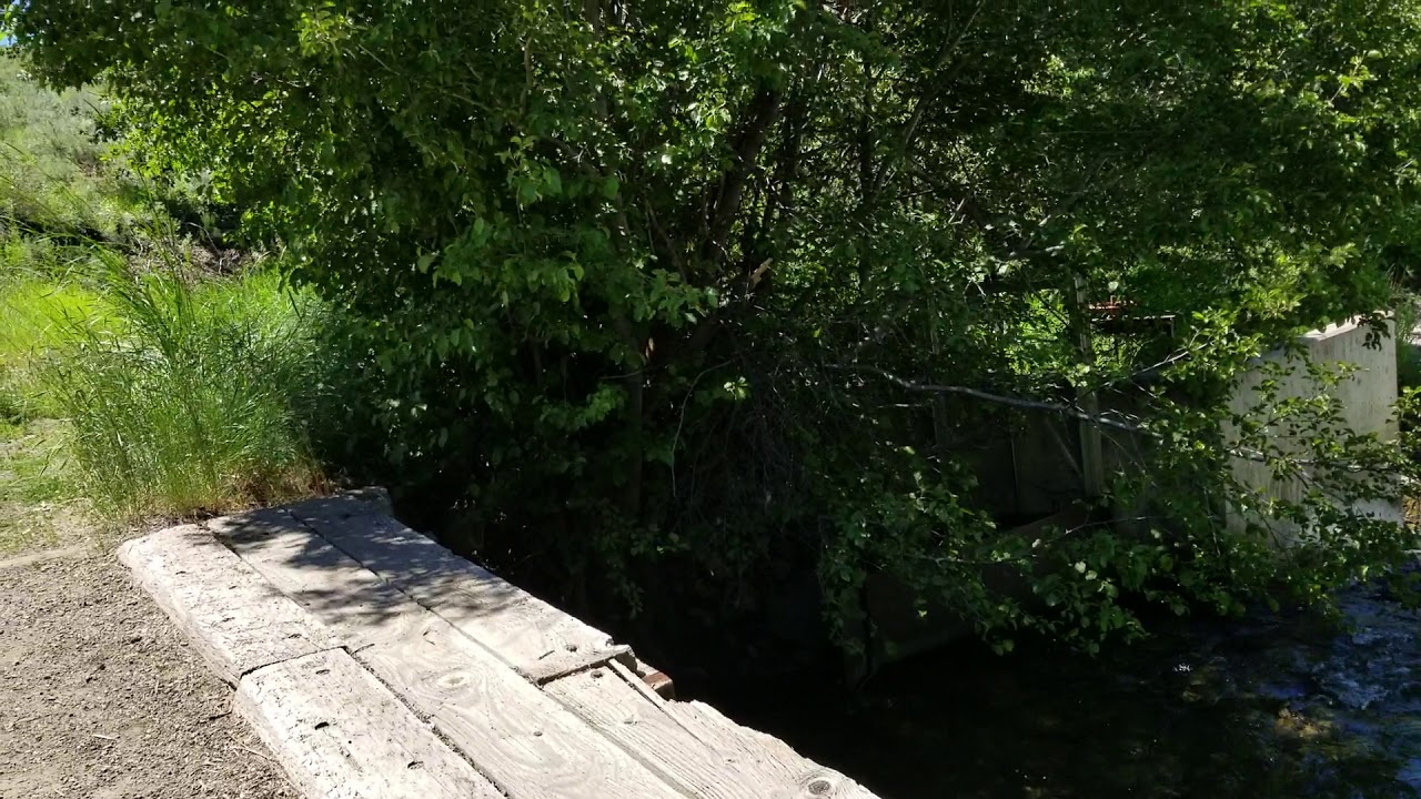 Proctor Mountain Loop Trail in Sun Valley, Idaho - III - YouTube