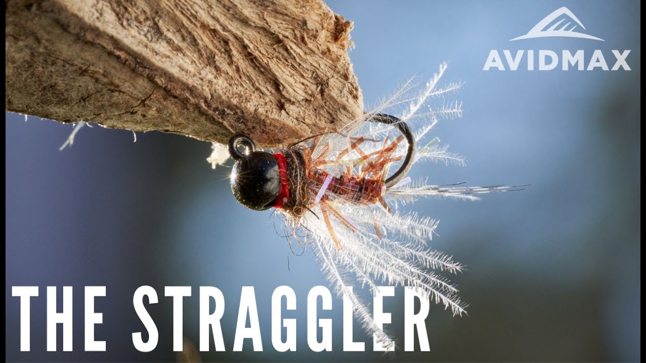 How to tie The Straggler | AvidMax Fly Tying Tuesday Tutorials - YouTube