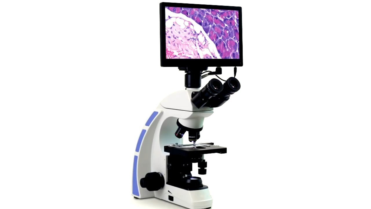 Produktvorstellung VETSCAN HD Microscope - YouTube