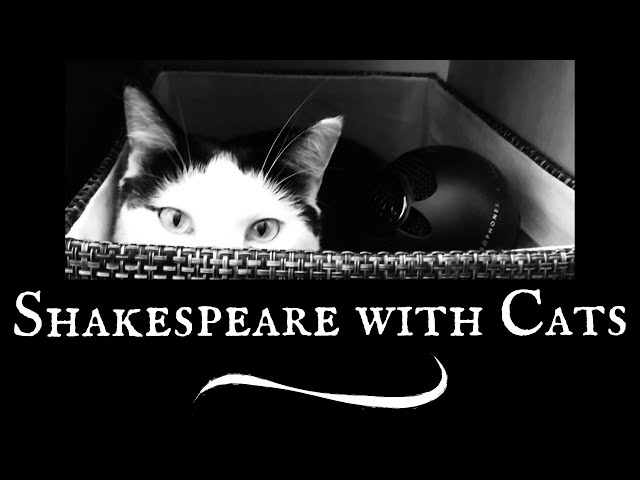 Shakespeare Cat Meme
