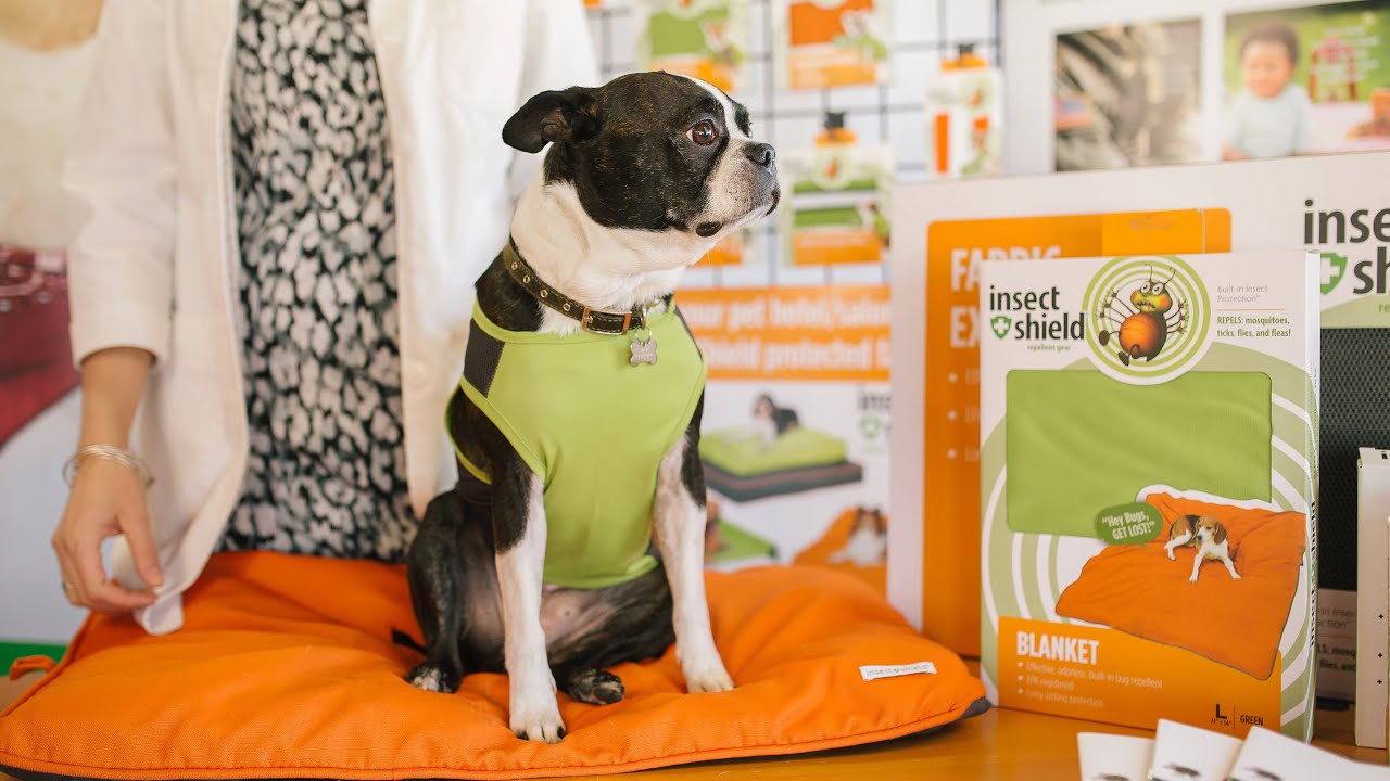 Insect Shield for Pets | Brand Introduction | Insect Shield Repellent ...