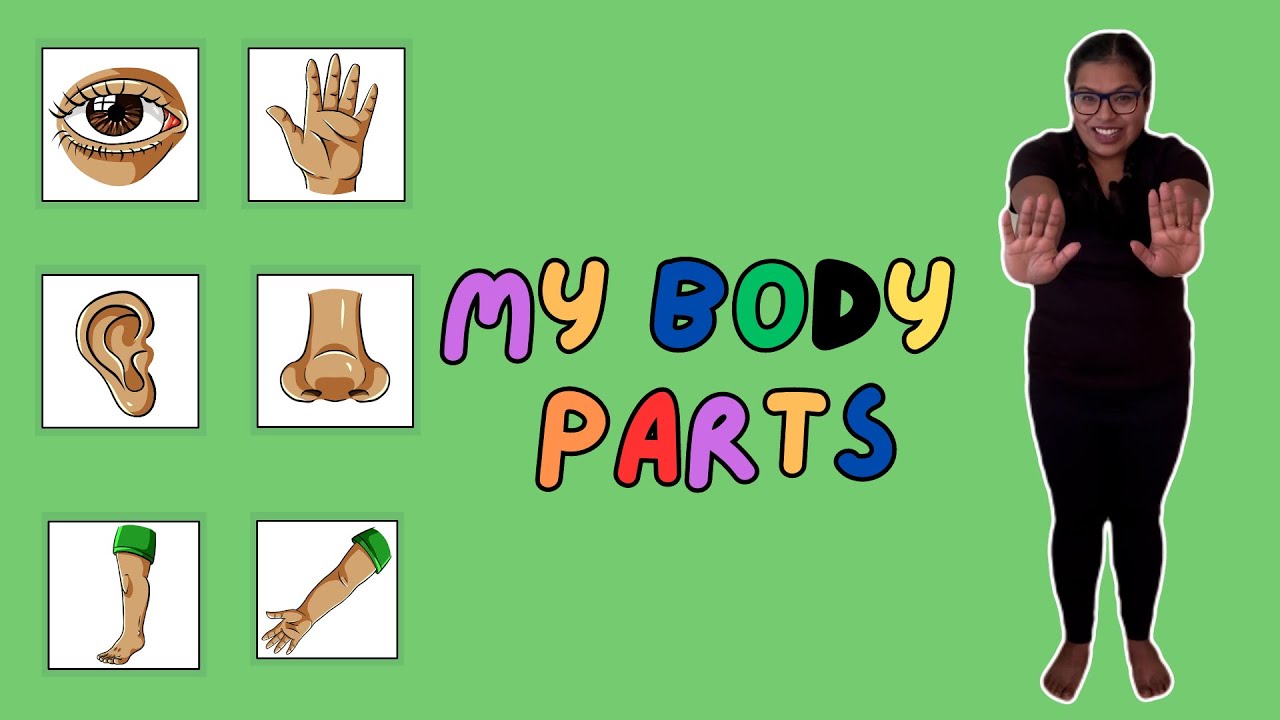 Body Parts in Nepali | Baby Learning - YouTube