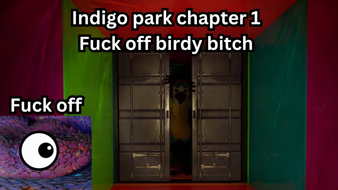 Indigo park: Molly Macaw scares the crap out of me - YouTube