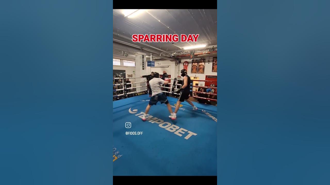 SPARRING DAY - YouTube