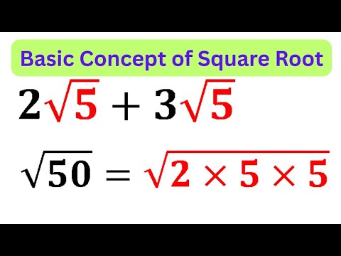 Square Roots Explained – Meaning, Cube Roots & Other Roots | Basics ...