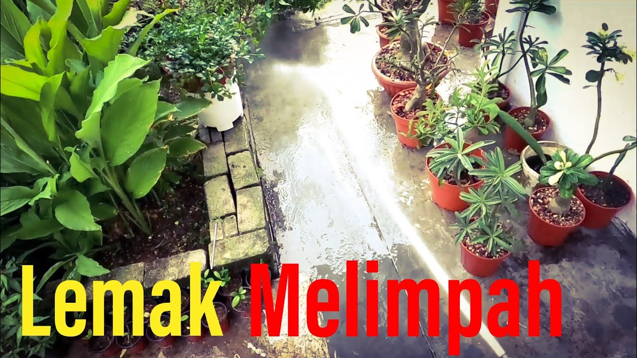 Sinki Tersumbat 36 || Saluran Dah Lama Sumbat - YouTube