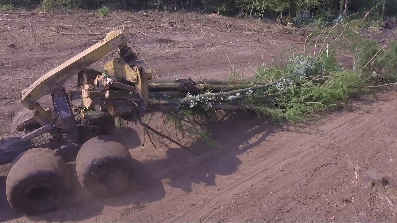 SWAMP LOGGERS NC / "The Stroud Tract" - YouTube