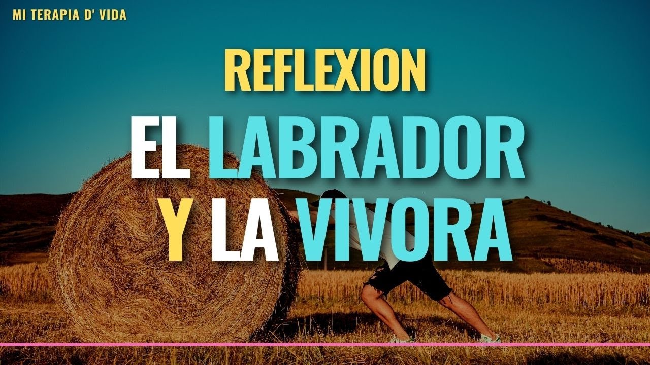 REFLEXION|😊EL LABRADOR Y LA VIVORA🧍‍♂️ 🐍 😊 mi terapia d vida.. - YouTube