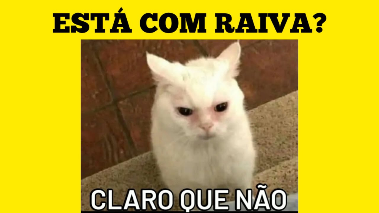 MELHORES MEMES EM IMAGENS - ESTÁ COM RAIVA? - YouTube