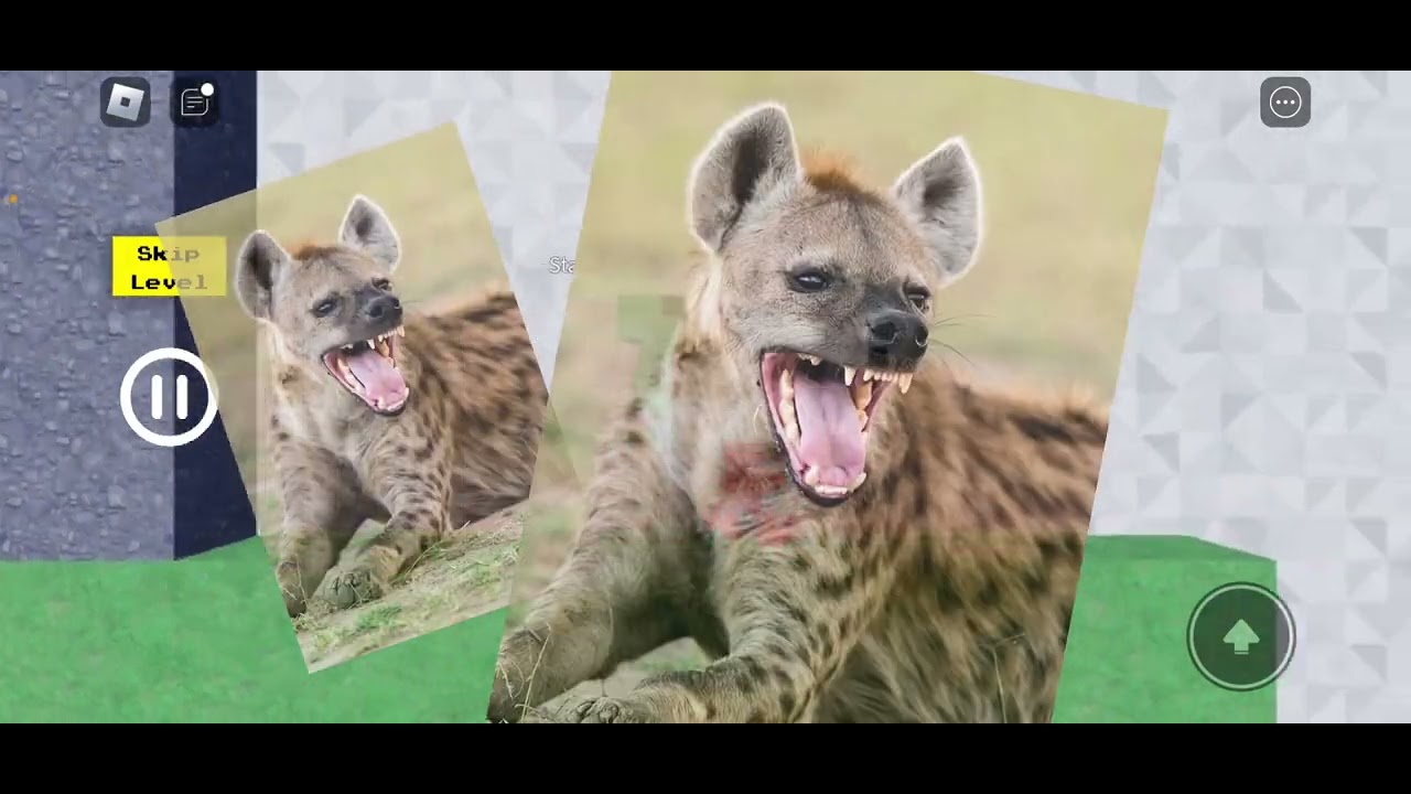 The buricut STRIKE AGAIN - YouTube