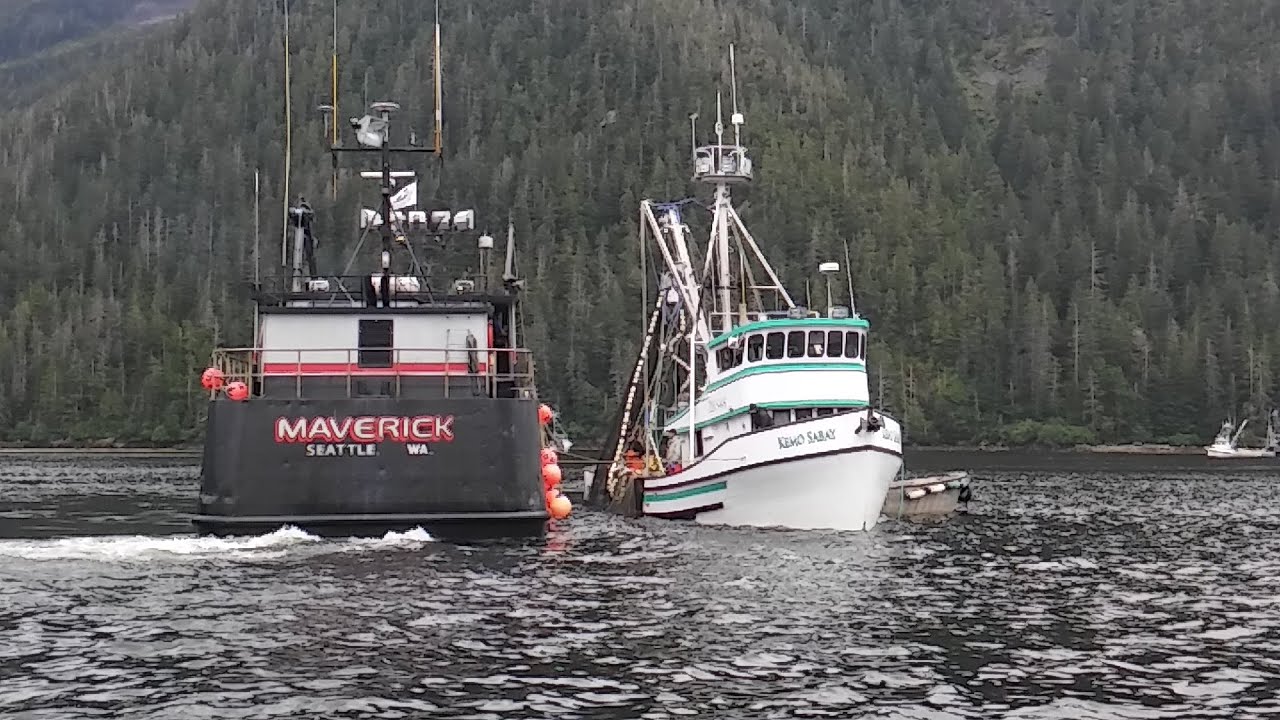 Deadliest Catch Superstar F/V Maverick Tendering Dog & Pink Salmon ...