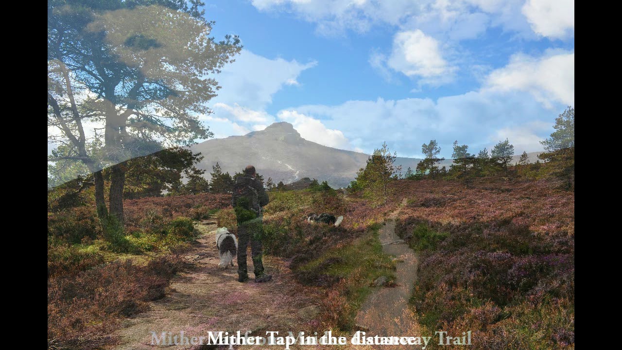Breath o' Bennachie - Walks to Mither Tap - YouTube