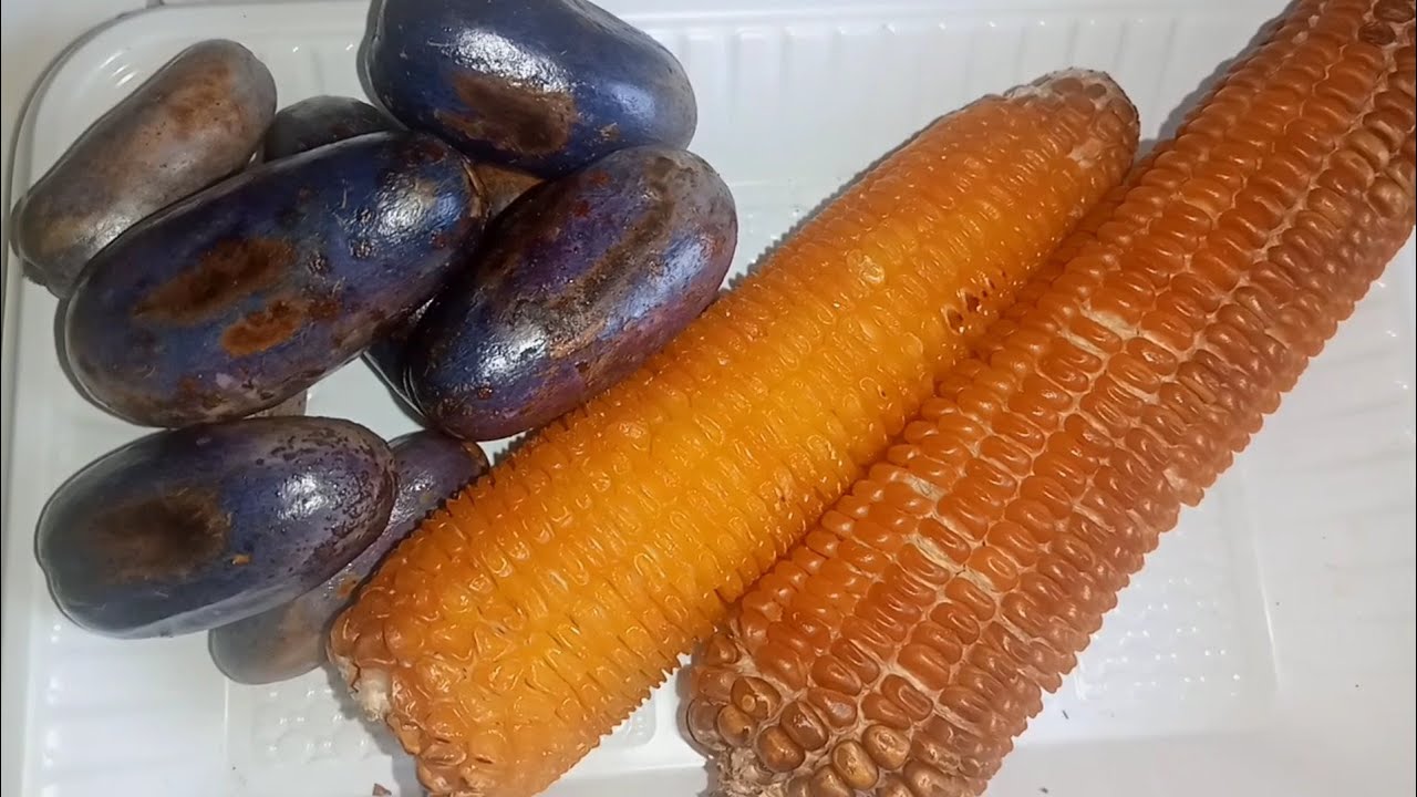 Roasted Corn and African Pear | How to Roast Corn and Pear | Two ways ...