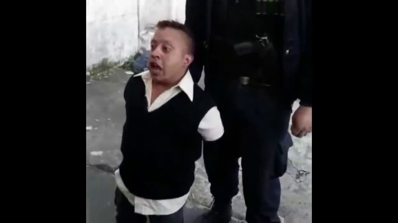 CASTIGAME GATO CASTIGAME - YouTube