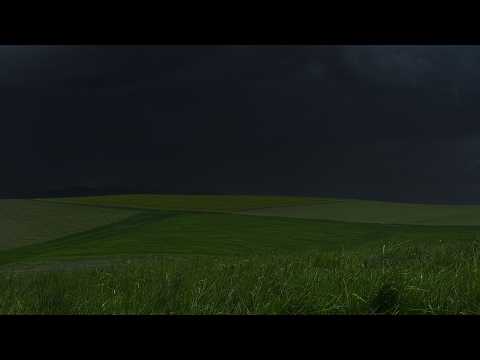 Under the Mountain Thunderstorm | Endless Meadows | Heavy Wind & Distant Thunder
